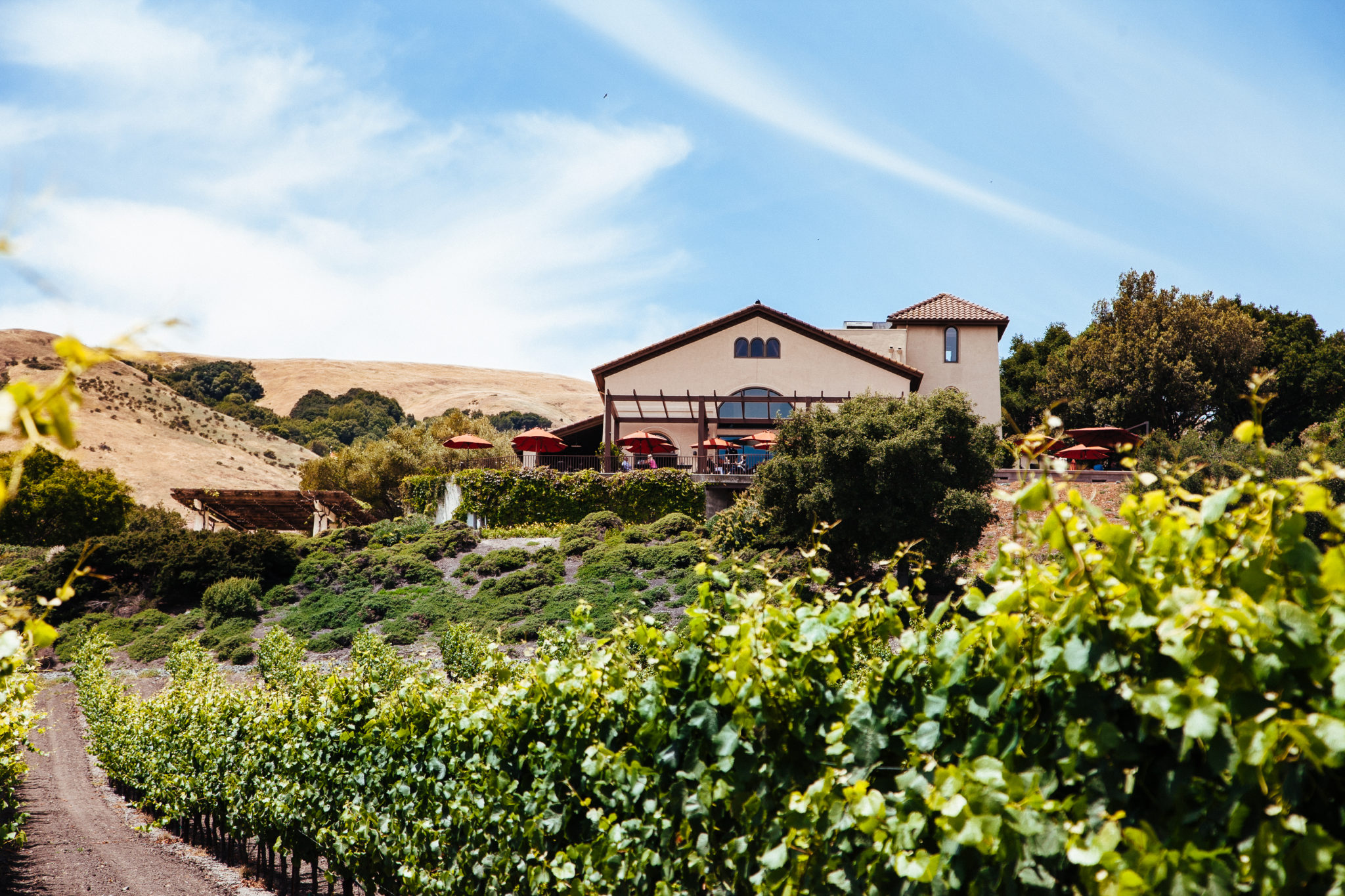 The Most Beautiful Wine Castles of Sonoma County - Gate 7