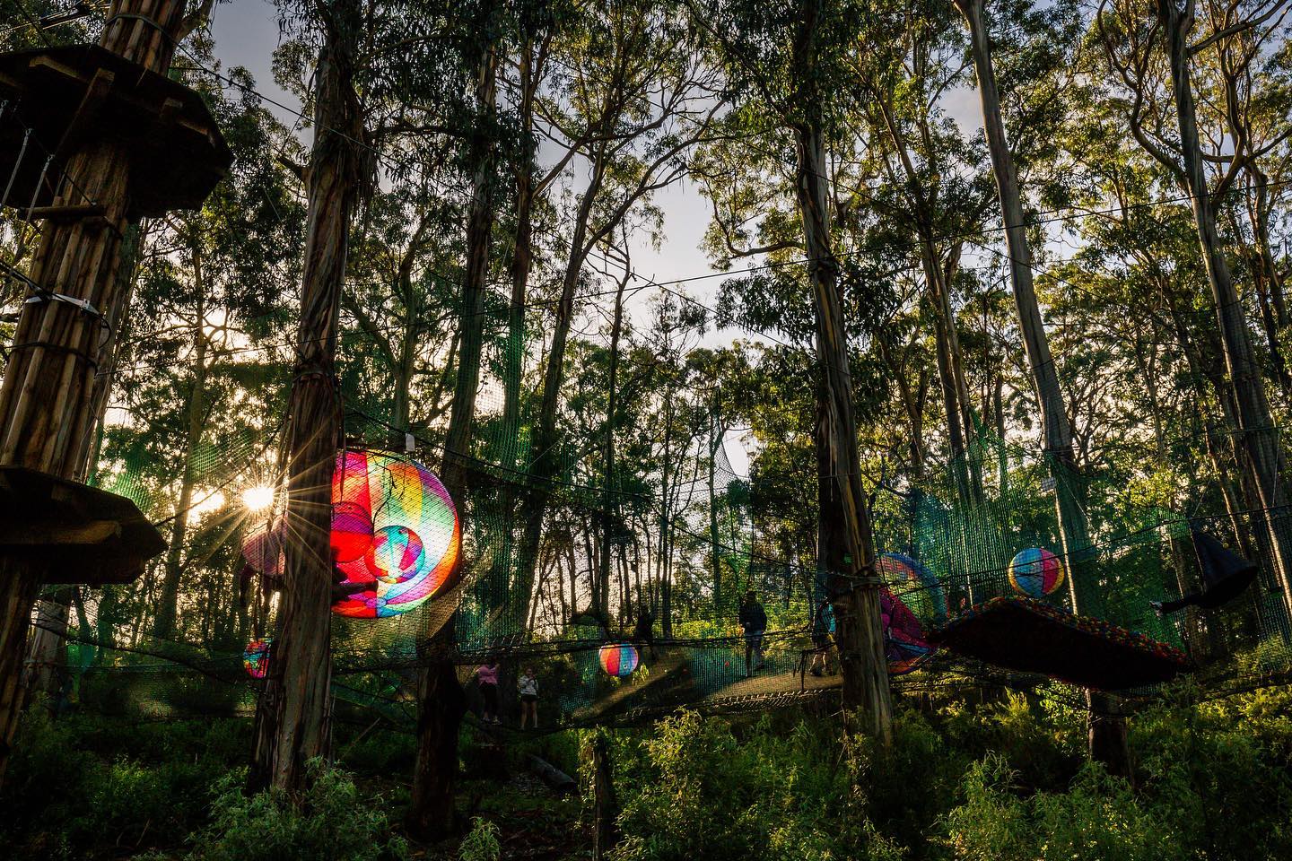 Guulabaa Tourism Precinct: Home to Koala Conservation and Australia's ...